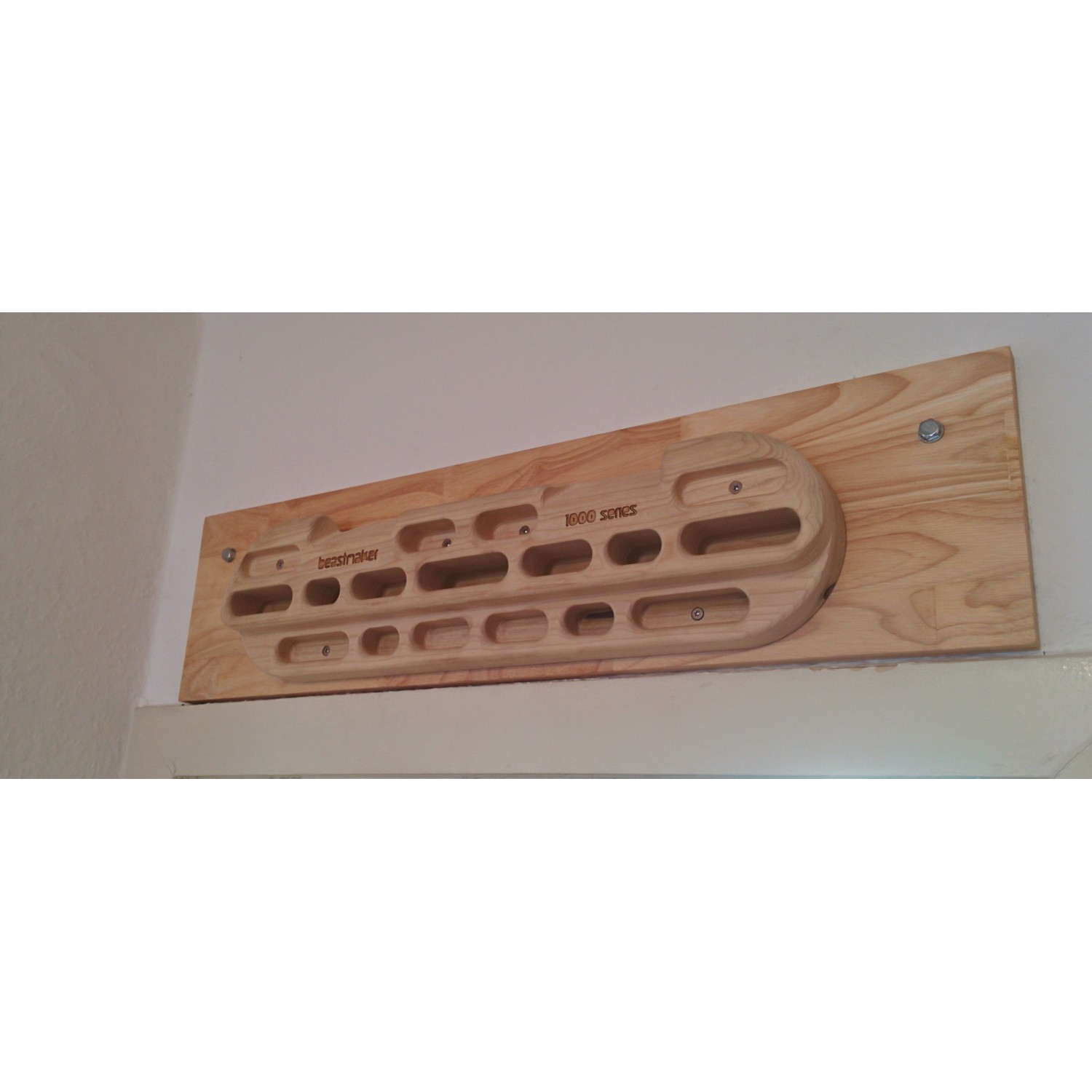 Beastmaker 1000 Series - Training board | Free EU Delivery | Bergfreunde.eu