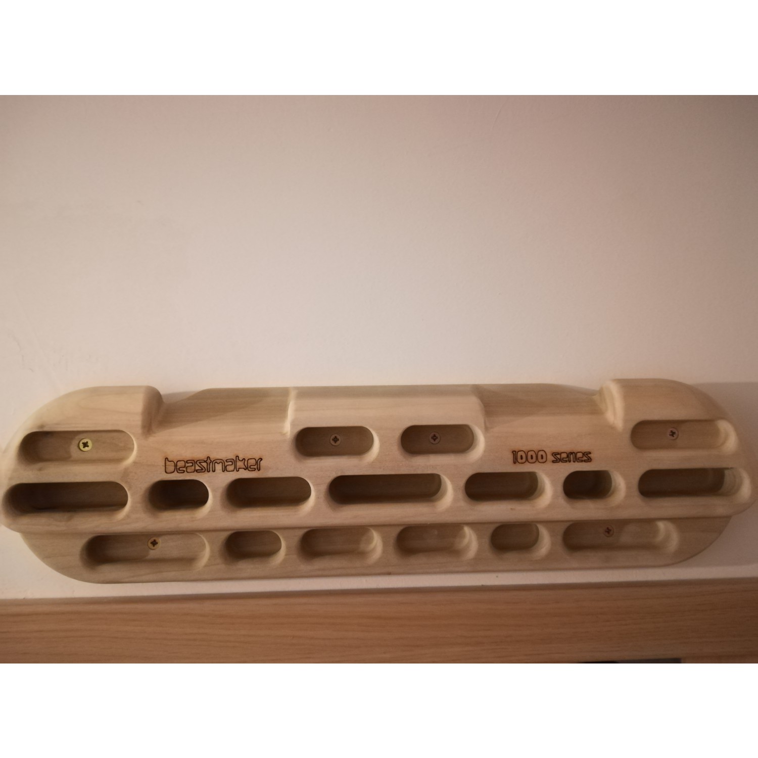 Beastmaker 1000 Series - Training board | Free EU Delivery | Bergfreunde.eu