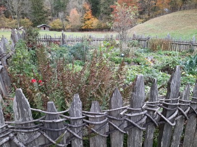 XLC Front Light XLC Comp Ariel 1W CL-F13 - Front light | Buy online ...